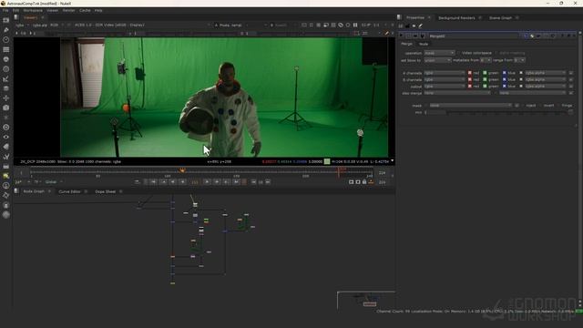 07 - Depth Pass, Z-Defocus & Grain