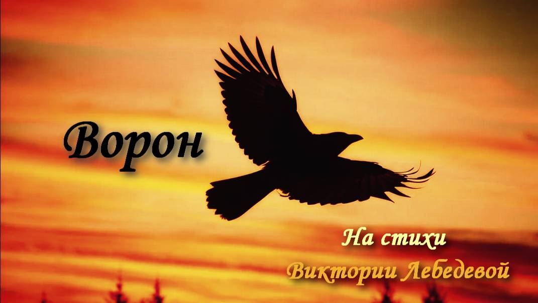 Ворон (Песня)