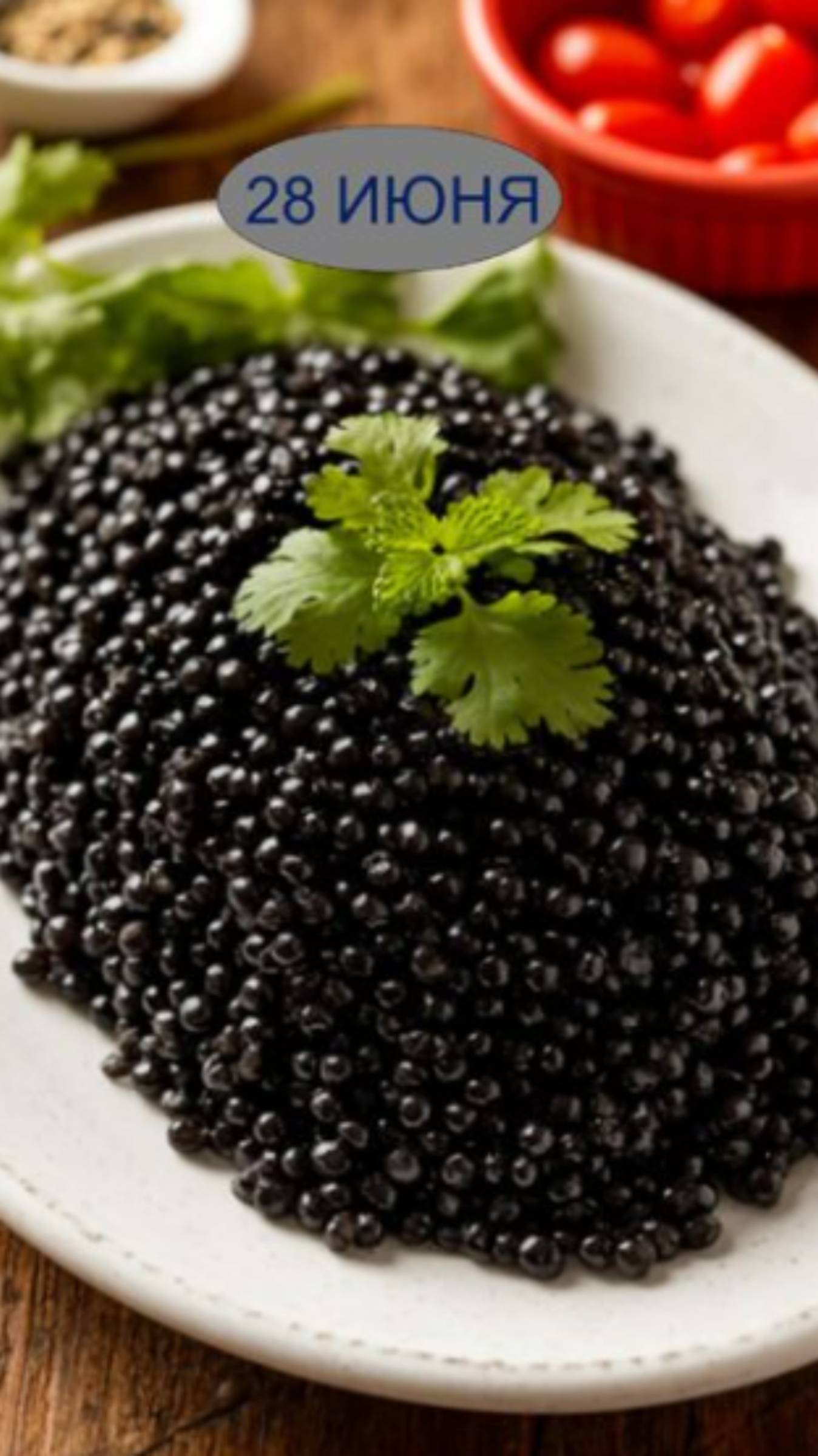 Черный Шарик