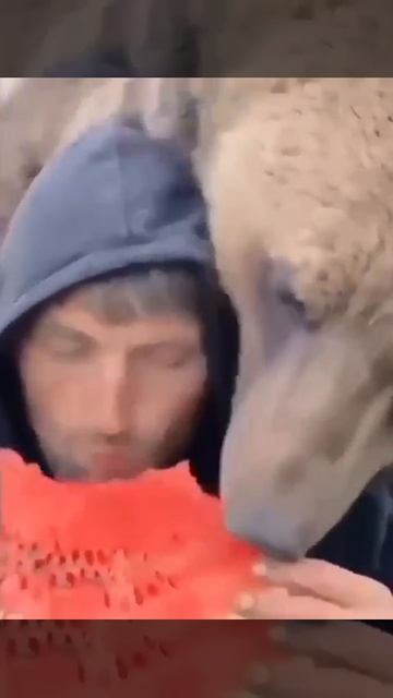 Очень вкусный арбуз! )))