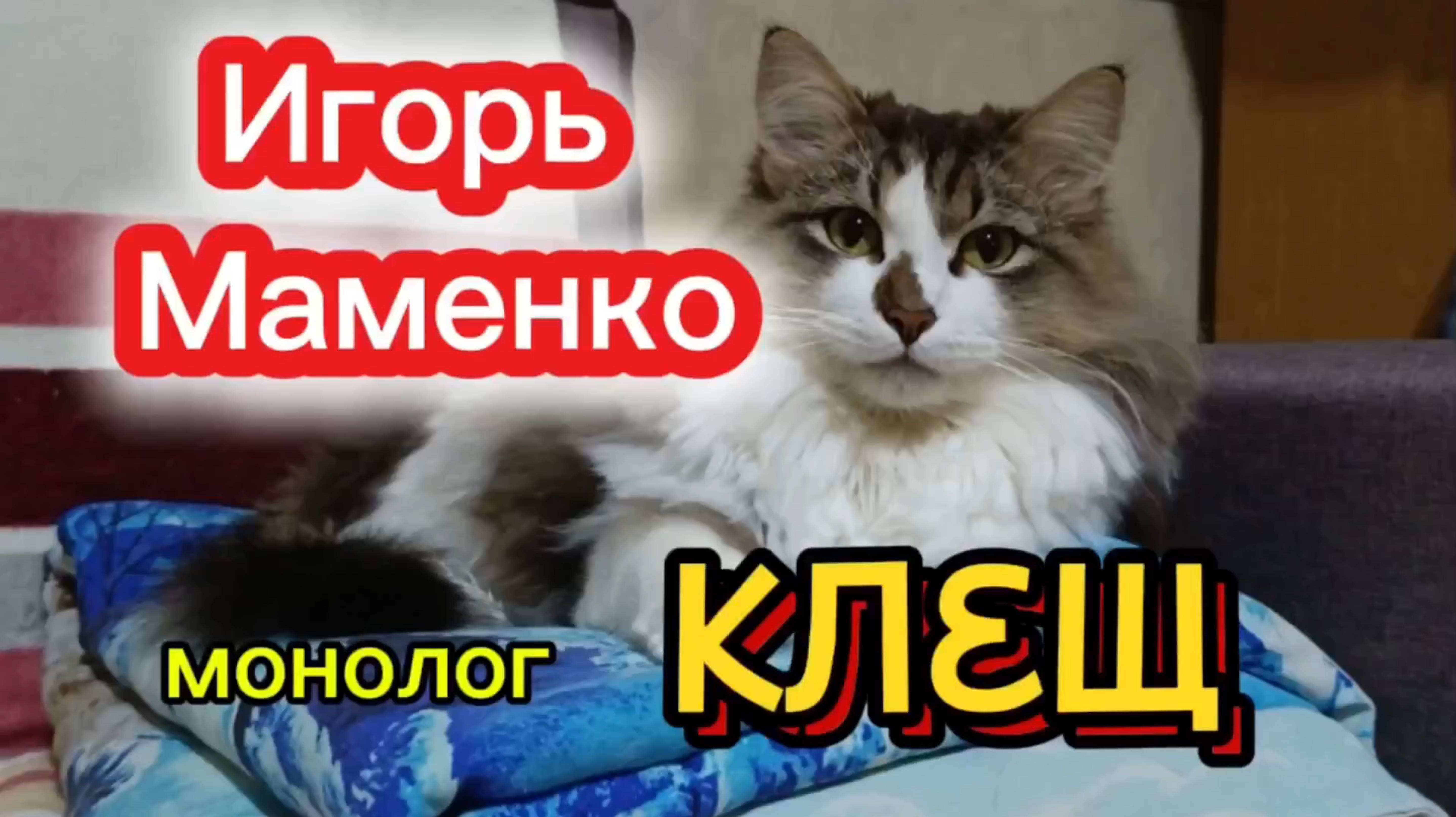 ИГОРЬ МАМЕНКО лучшее.