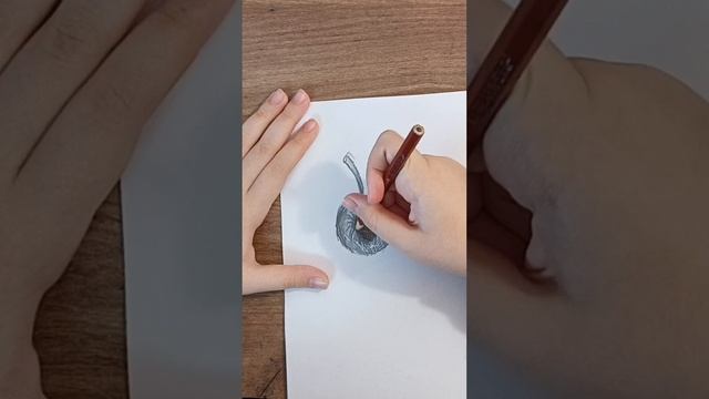 Вишня в разрезе