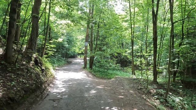 Звенигород на унициклах 280625