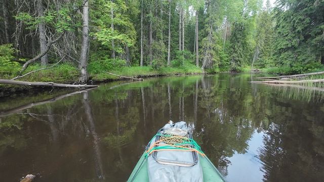 Сплав - река Андома 25.06.25 ( стапель, старт и первый завал )