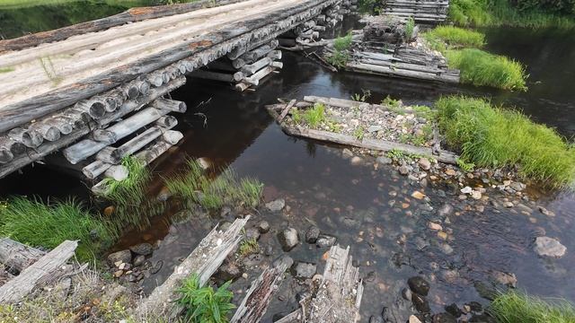 Сплав - река Андома (    мост 3 км , обнос состоялся , крапива ласкала уши  ))