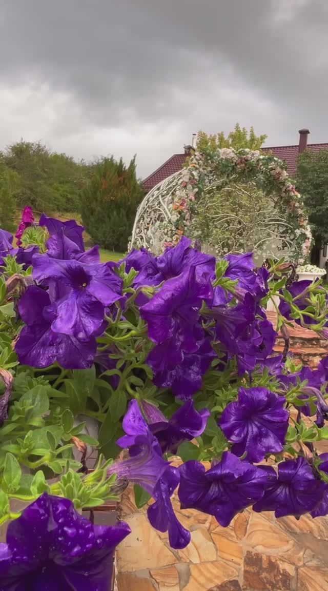 Обстановка на Грушевом озере сегодня, коротко о погоде.