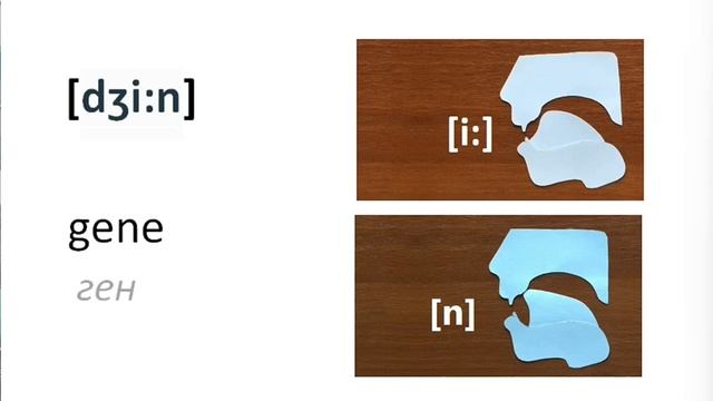 Английский язык Звуки [ʒ,dʒ] (нарезка) ЛЕКЦИЯ 30.2 Транскрипция Произношение Правила чтения