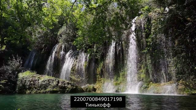 Мошеники трейдеры и инвесторы