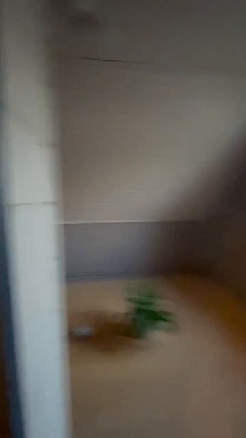 Отзыв Дома СанСити