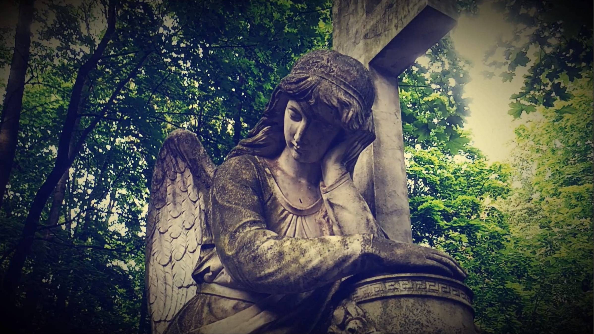 Введенское кладбище ждет вас...