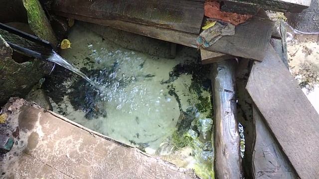 У источника. Вкуснейшая вода.