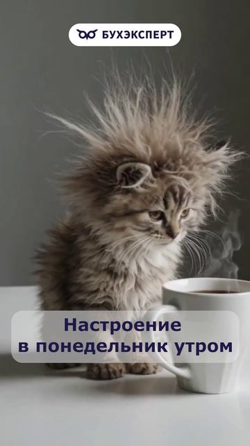 Настроение в понедельник утром #бухюмор