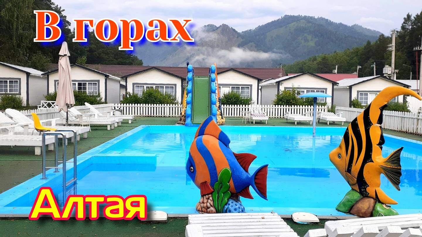 В горах Алтая | База Прованс | Купил мёд у Красотки | Лохмата ферма | Парк - Отель Манжерок