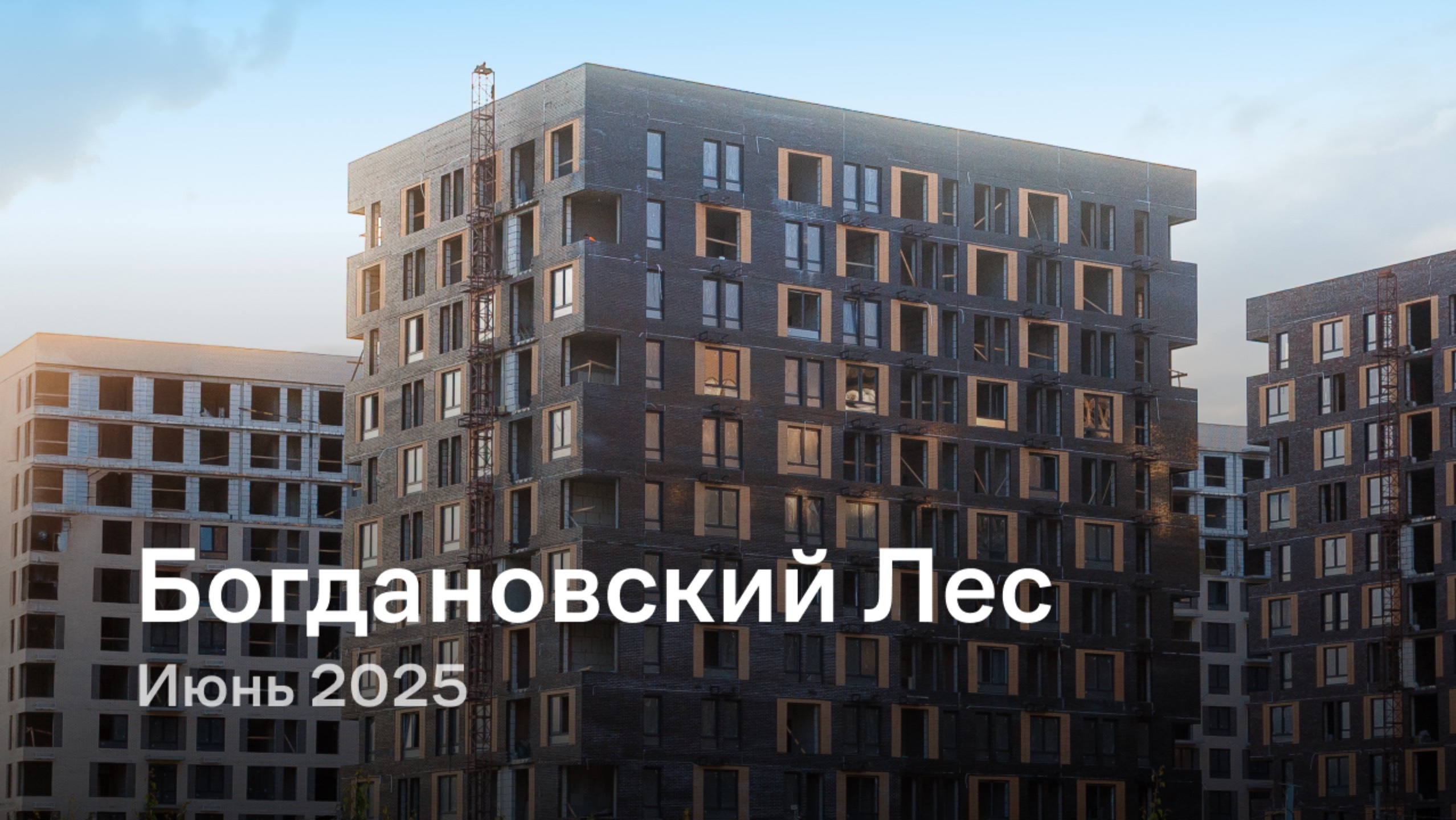 «Богдановский Лес» / Июнь 2025