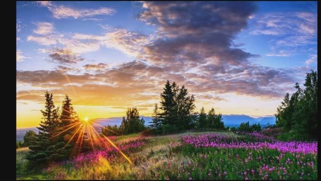 Утро. Пер Гюнт. Эдвард Григ.