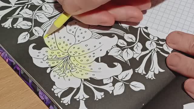 Раскрашиваем вместе в Дивной луне Марии Тролле