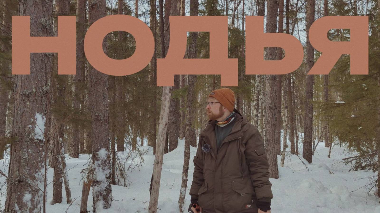Ночь в заснеженной тайге