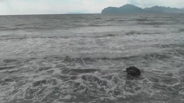 Крым.  Орджоникидзе - чарующий  курортный  посёлок  Восточного  Крыма.