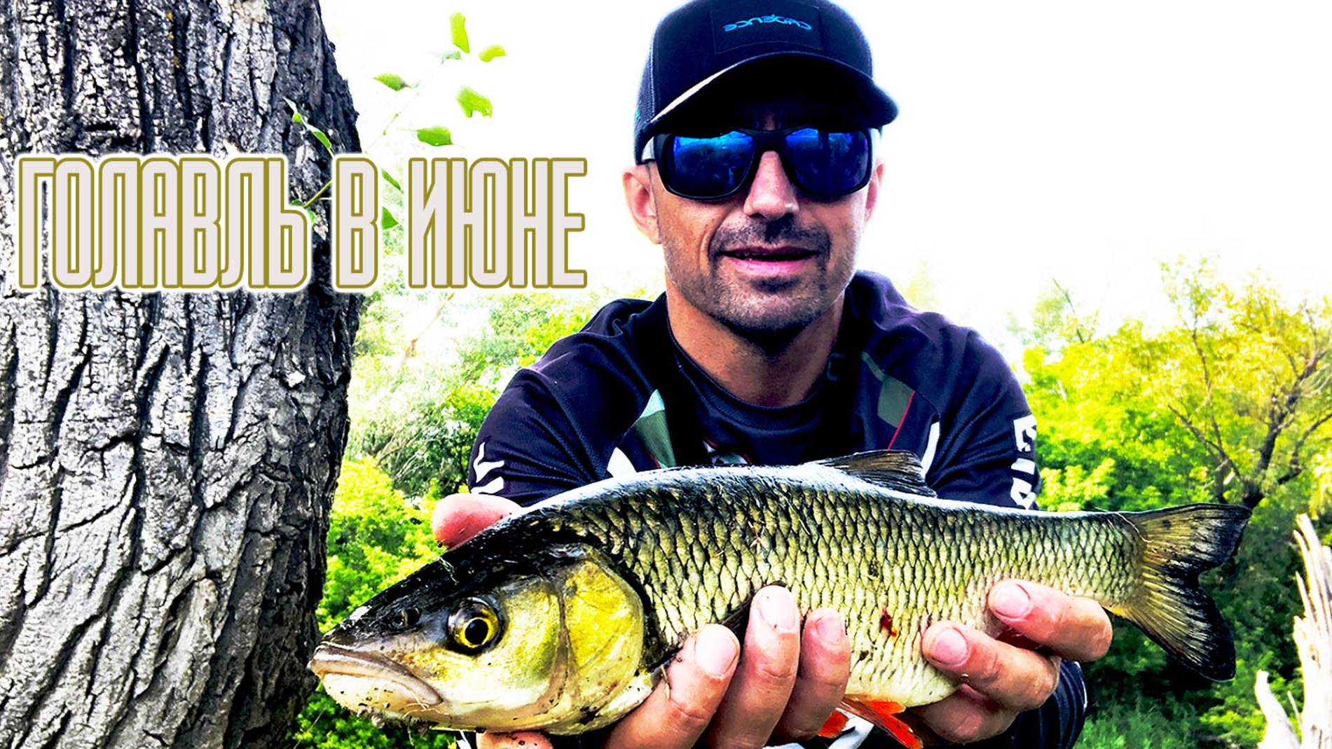 ТРОФЕЙНЫЙ ГОЛАВЛЬ, РЫБАЛКА НА ВОЛКЕРЫ И ПОВЕРХНОСТНЫЕ ПРИМАНКИ, МОЩНЕЙШИЕ ПОКЛЕВКИ.