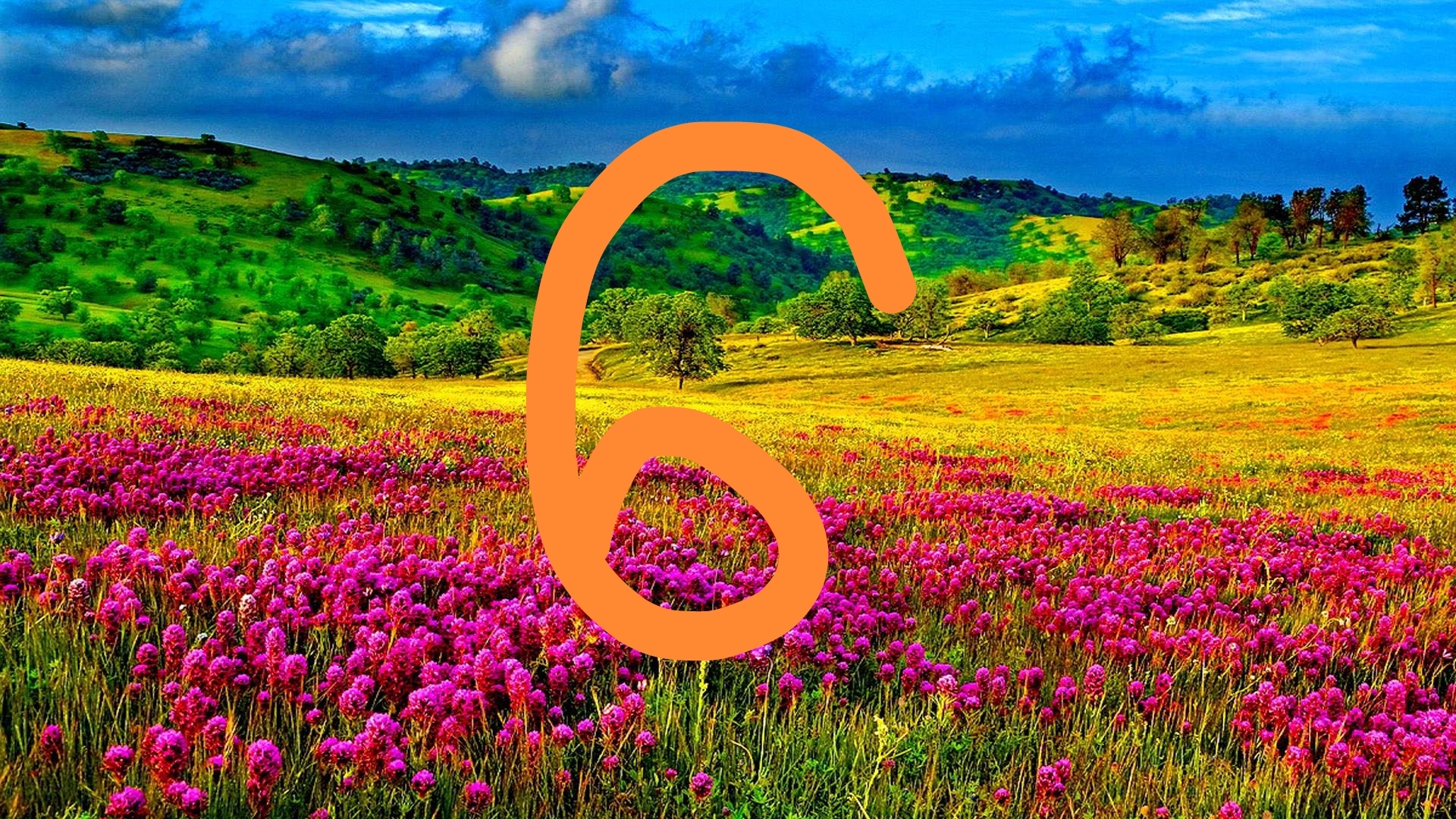 ЛЕТО 6 серия деревня