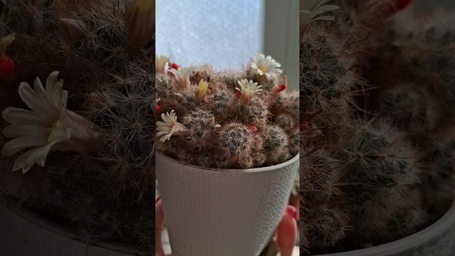 Для настроения 🥰!