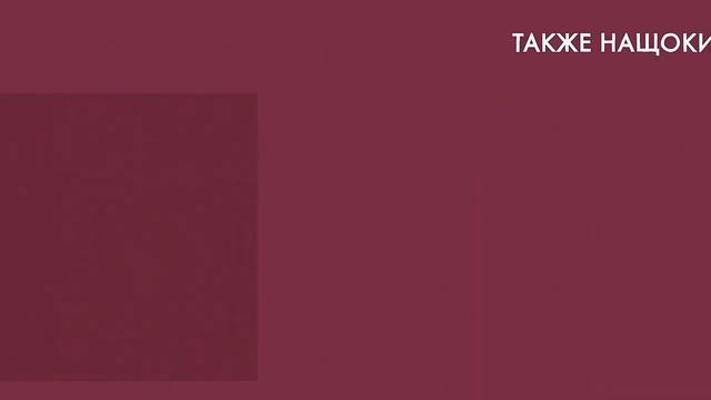 Афанасий Ордин Нащокин_ его реформы и проекты