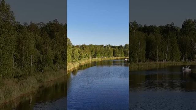 Эта река скрывает трофейную рыбу! 🐟🎣 #Рыбалка #готовканаприроде #палатка