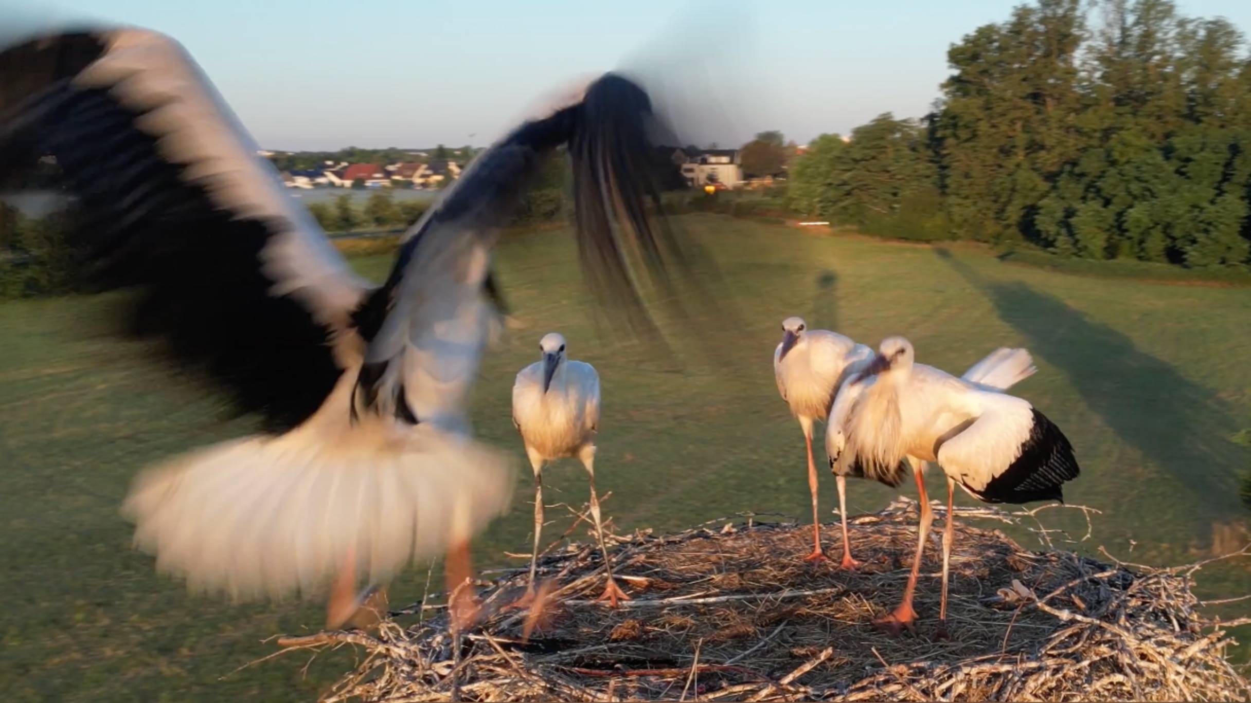 в большой семье не щёлкай клювом ;)
