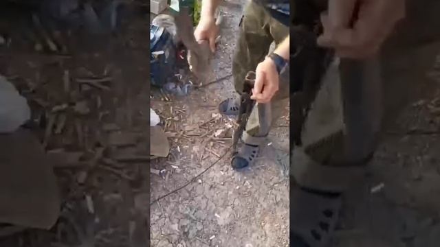 Вечное творение