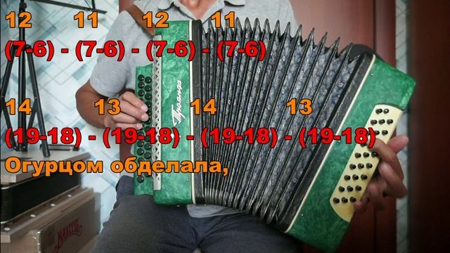 Простые частушки (2 варианта) подробный разбор на гармони №-419 с цифрами