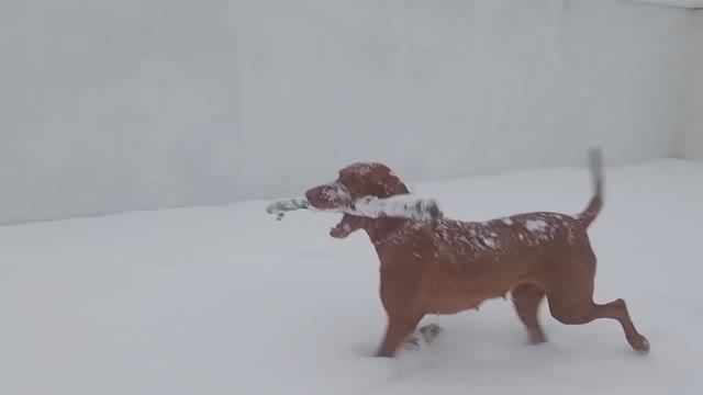 Зима в Сочи