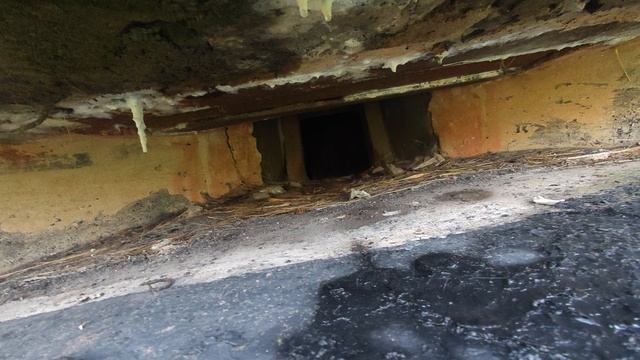 ДОТ в Кингисепе