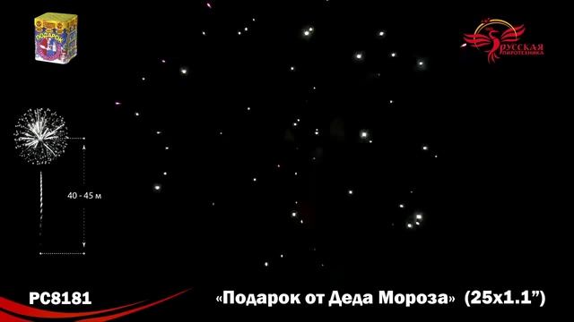 PC8181 Подарок от Деда Мороза