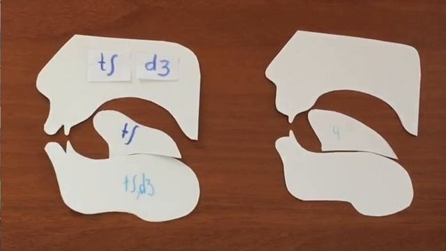 Английский язык Звуки [ʒ,dʒ] (нарезка) ЛЕКЦИЯ 30.1 Транскрипция Произношение Правила чтения