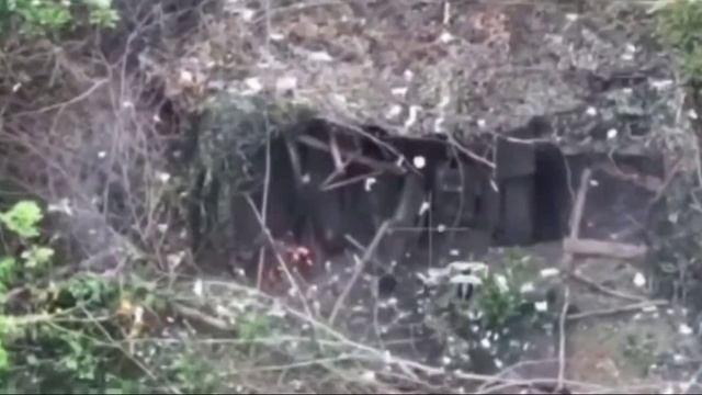 Карлсон, Малыш и Ко... 29 06 25