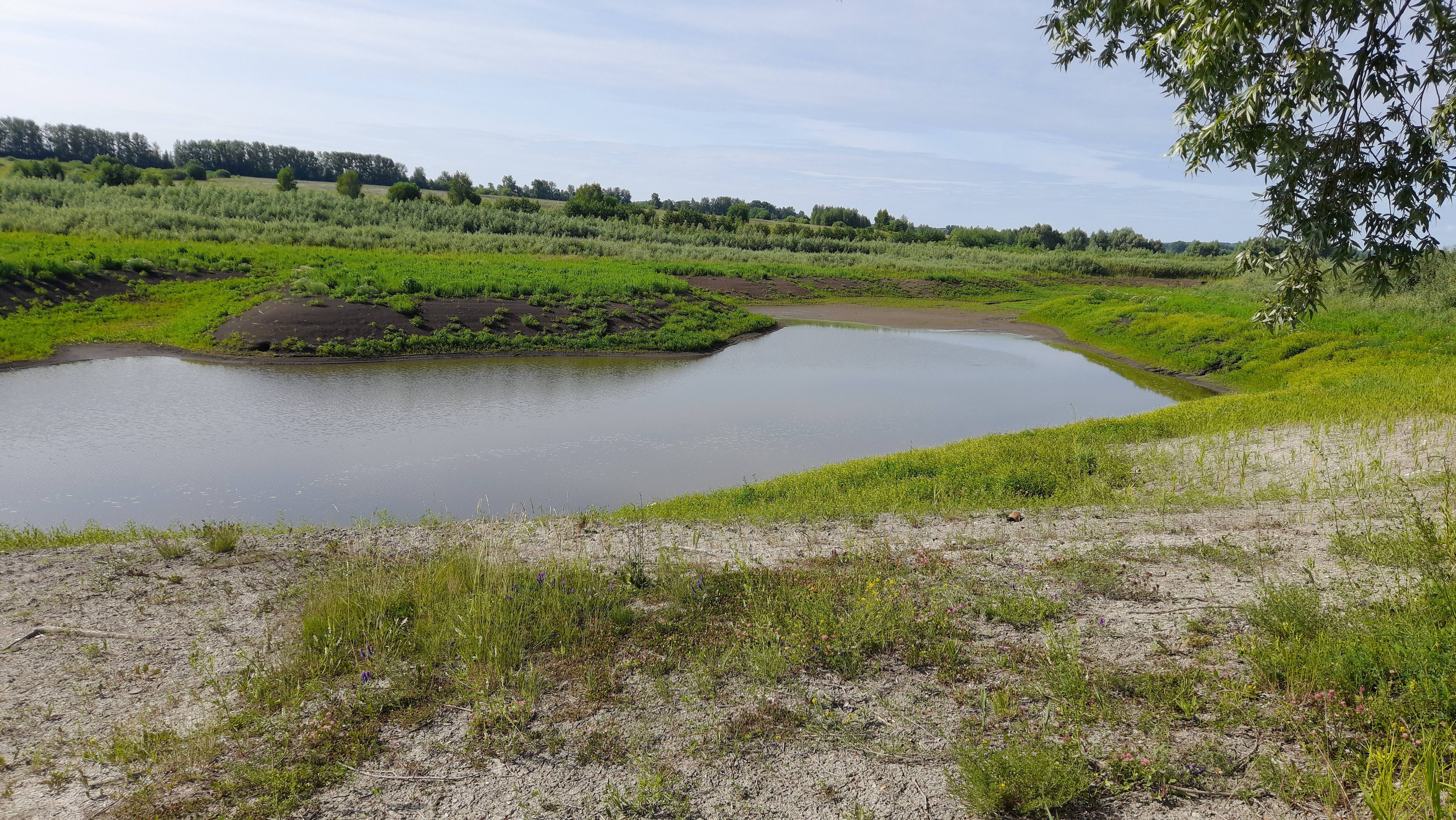 Осмотр с МД почти пересохшего озера (респ. Чувашия)