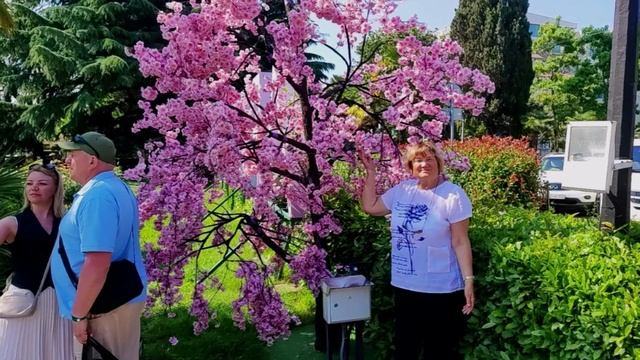 Наш солнечный город Сочи. Слайд шоу .Июнь 2025.