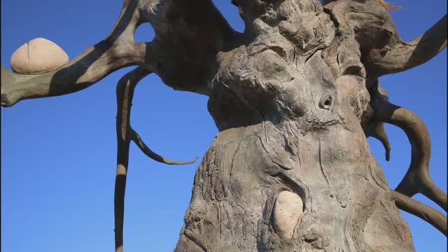 Потомок великих шаманов // Даши Намдаков // Байкальская эволюция: люди и смыслы