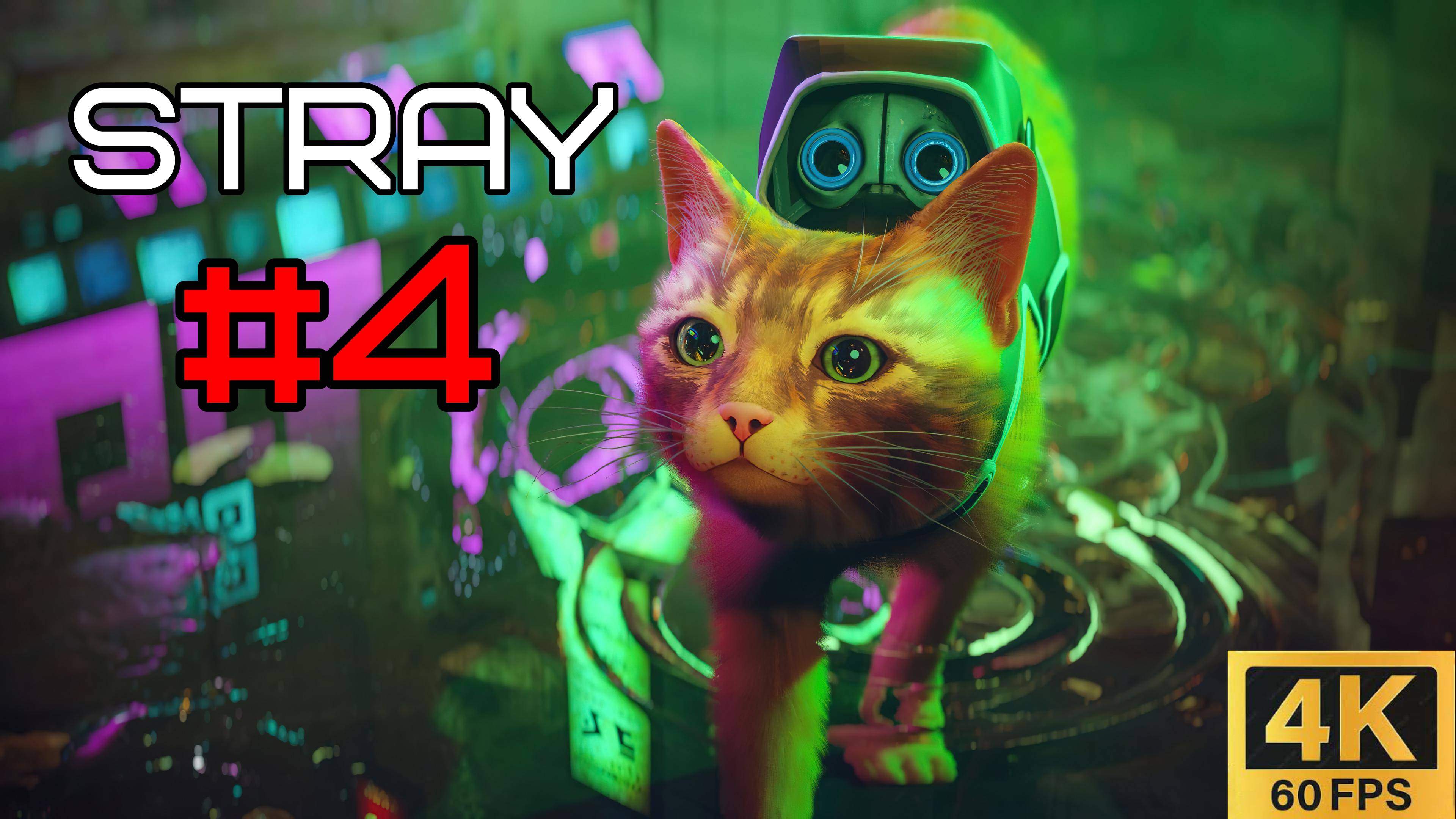 #4 STRAY | Котик | Прохождение | HOAX_PC