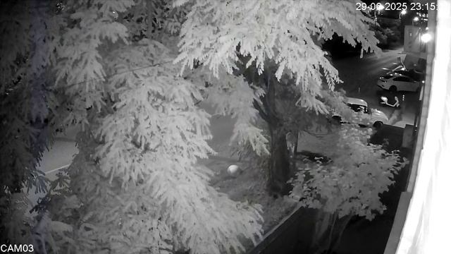 Незаконная торговля после 23.00