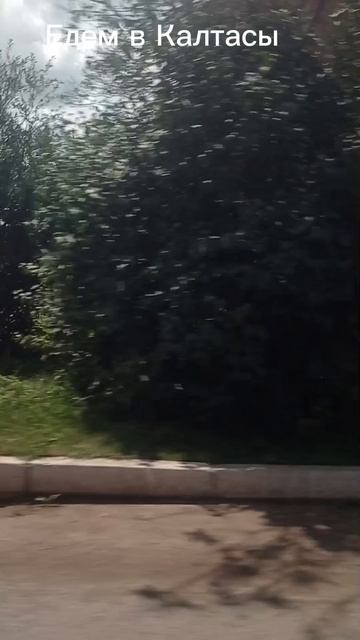 МЯ мЯ