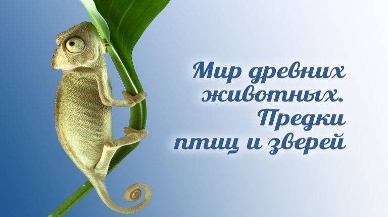 Предки птиц и зверей # 6. Появление зверей. Первые шаги