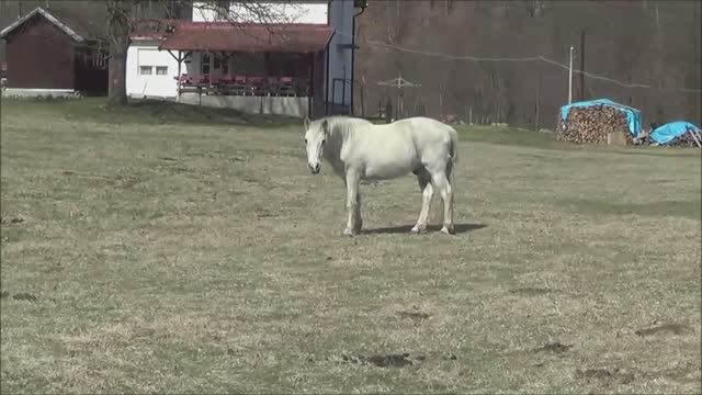 Сербское село Богутовац. Рай для туристов