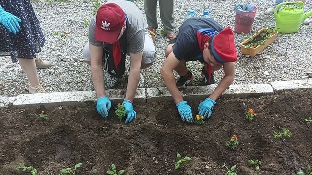 Проект «Шаг вперед». Посадка и уход за цветами