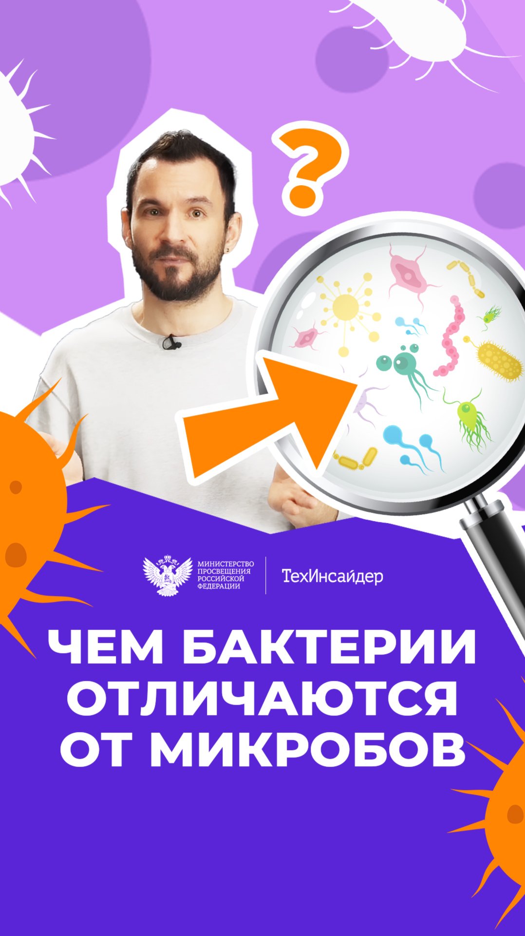 Чем микробы отличаются от бактерий и что такое бациллы?