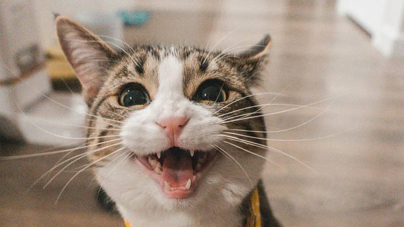 fryday  night funkyn