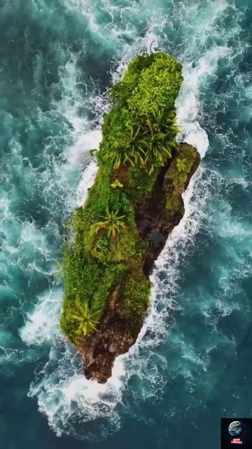 Коста-Рика
Больше 25% территории Коста-Рики занимают национальные парки