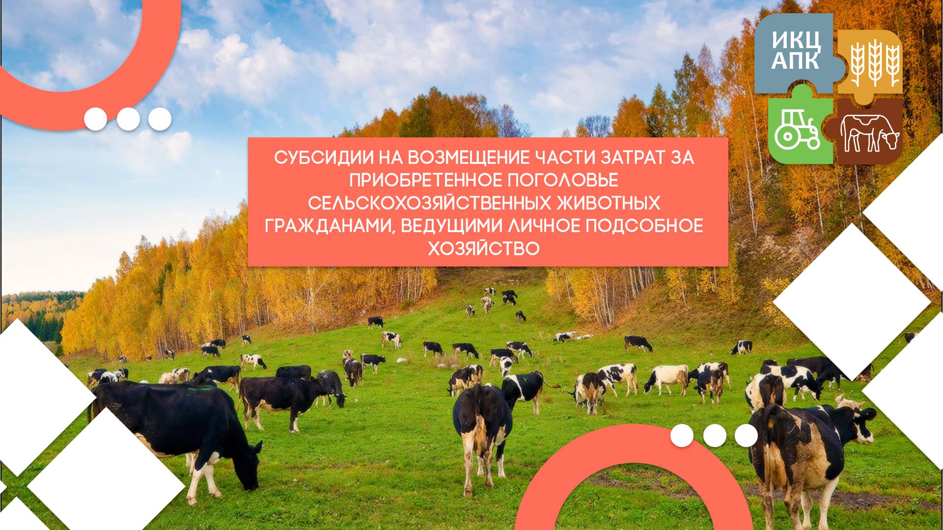 Запись семинара от 25 июня 2025 года