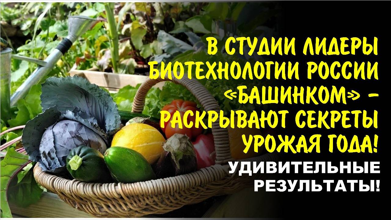 Почему БашИнком — лидер инноваций в биотехнической отрасли? Смотрите!