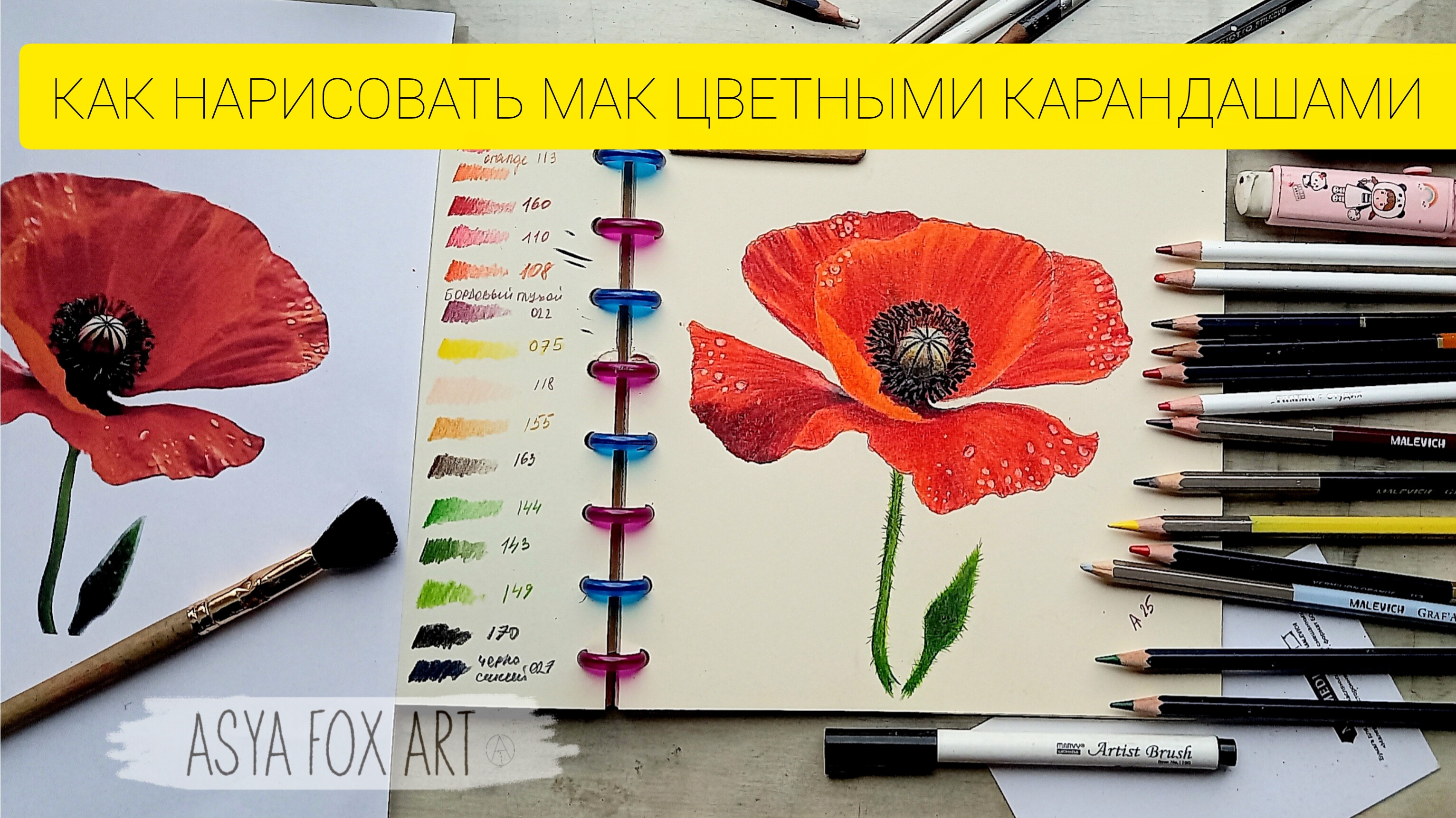 КАК НАРИСОВАТЬ МАК ЦВЕТНЫМИ КАРАНДАШАМИ |ASYAFOXART